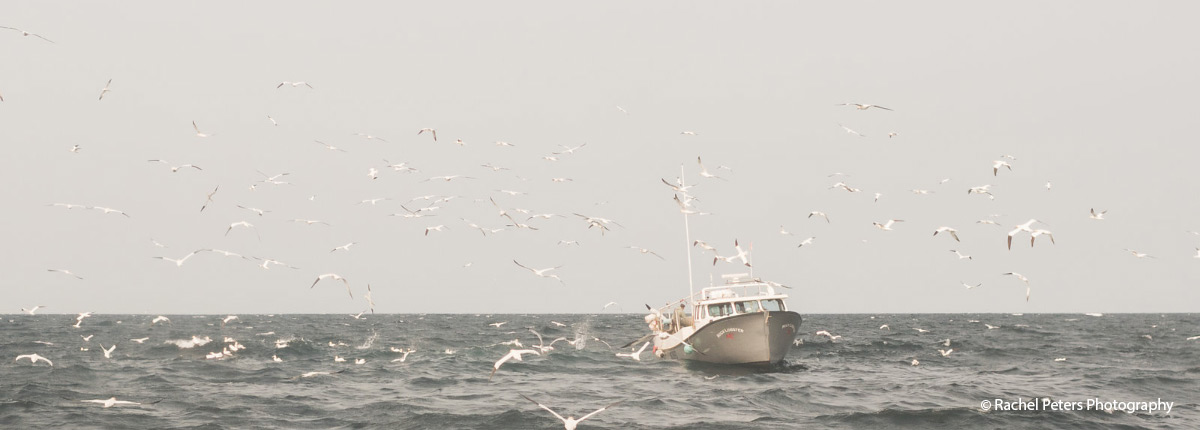 Prince Edward Island Fishermen's Assoc. - Home